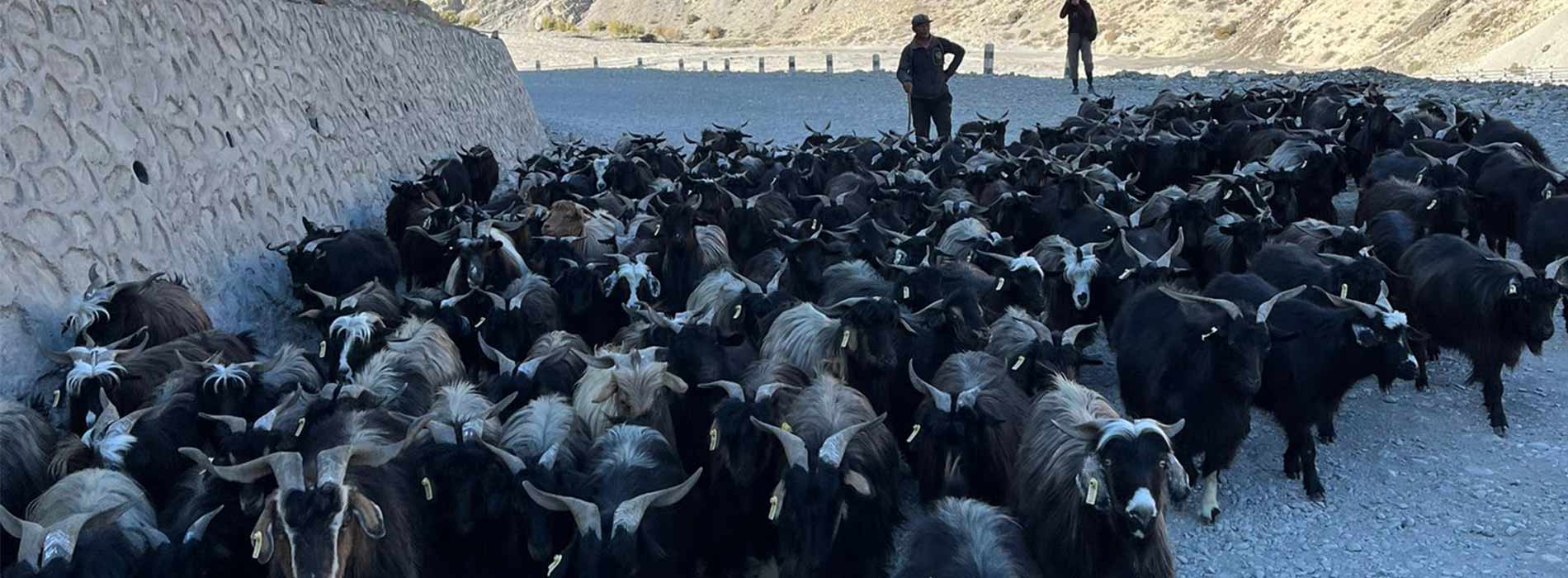Classic Cycle Tour in Nepal - Trek Mania Nepal